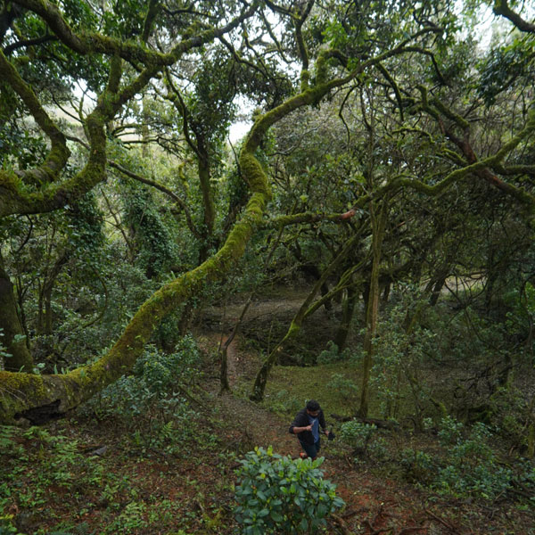 Trails - Trek Tamil Nadu