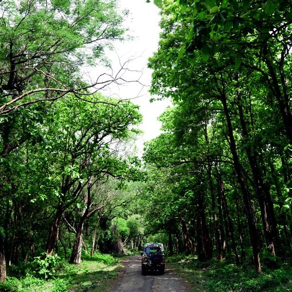 Trails - Trek Tamil Nadu